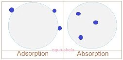 Factors affecting adsorption of gases on solids