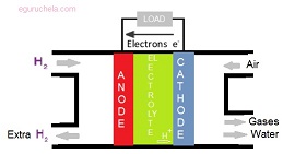 Define the Fuel cells with types